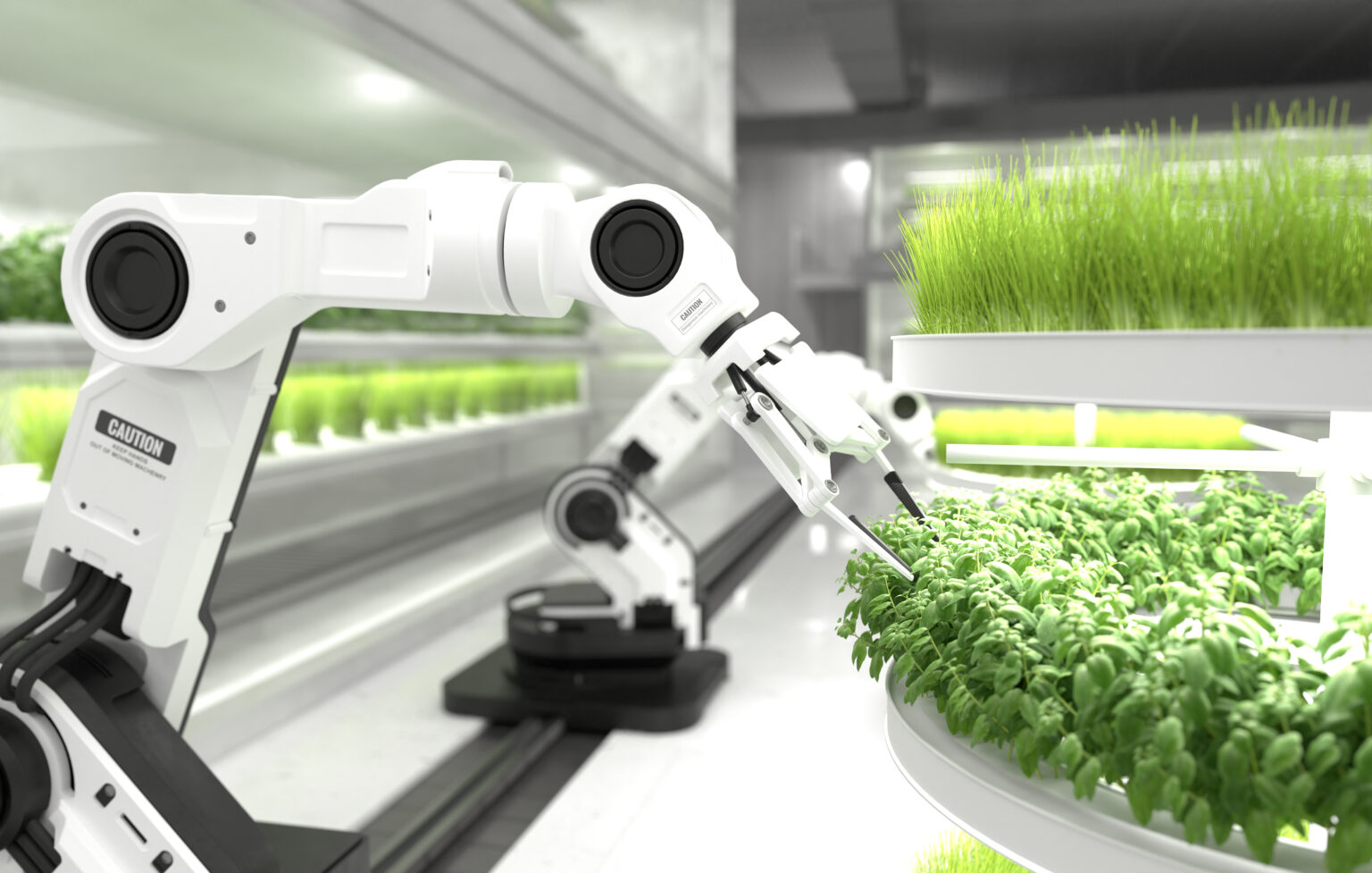 Robots in Agriculture Boosting Productivity Sustainability