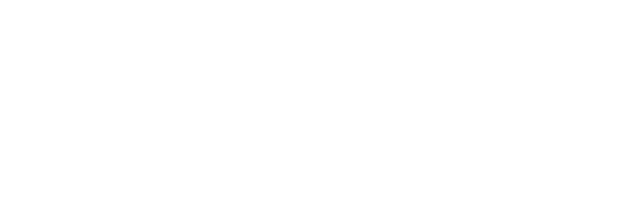 Zayed Higher Organization for People of Determination: Empowering ...